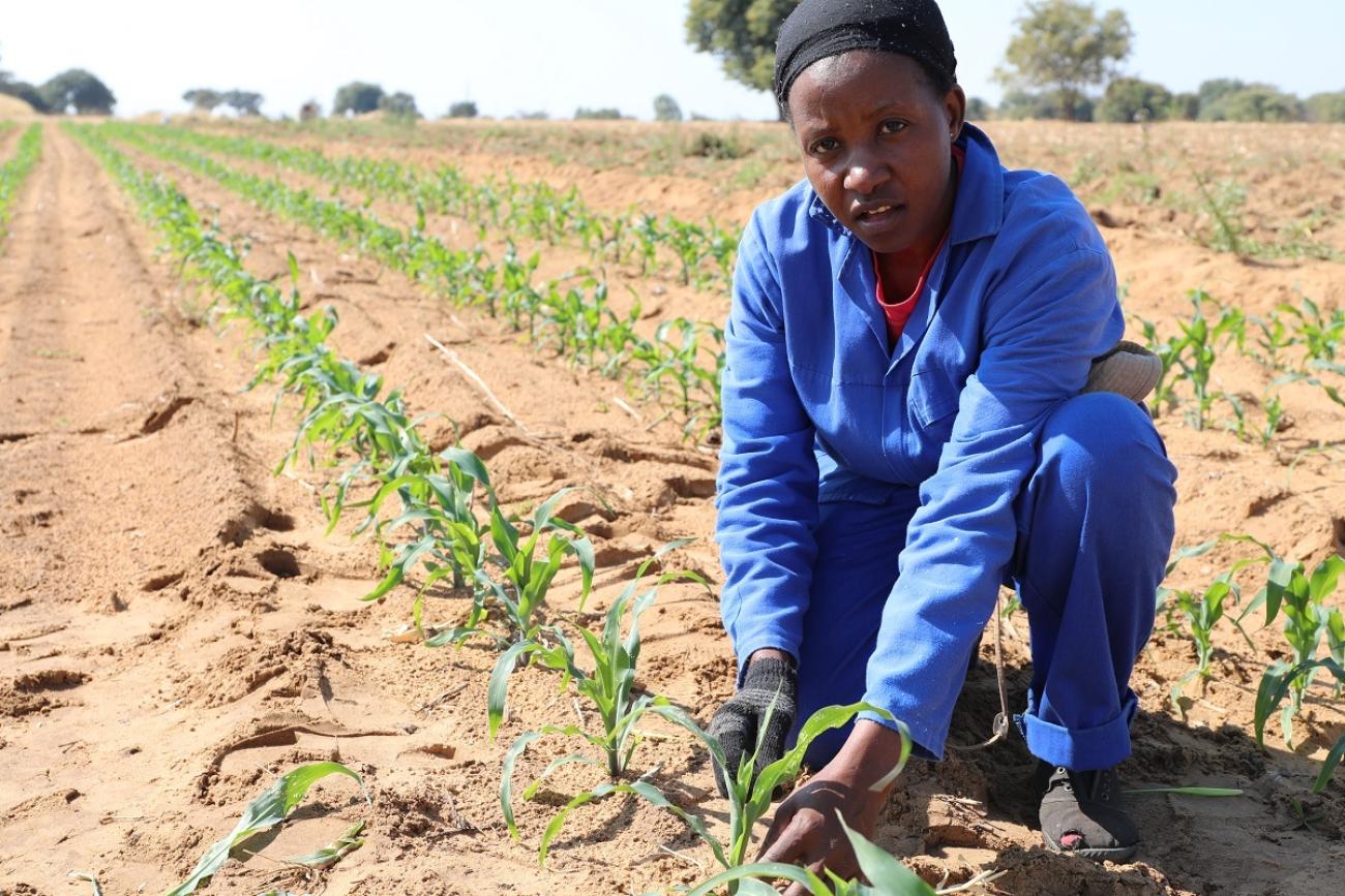 Women Own 30% of Namibian Farms - The Villager Newspaper