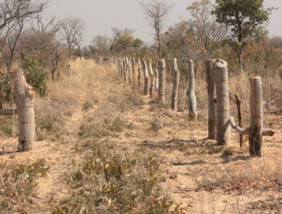 Ten Farmers Accused of Illegally Fencing Communal Land in Gava - The ...