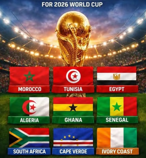 Namibia’s (Lack of) Support of African Participants at the World Cup ...